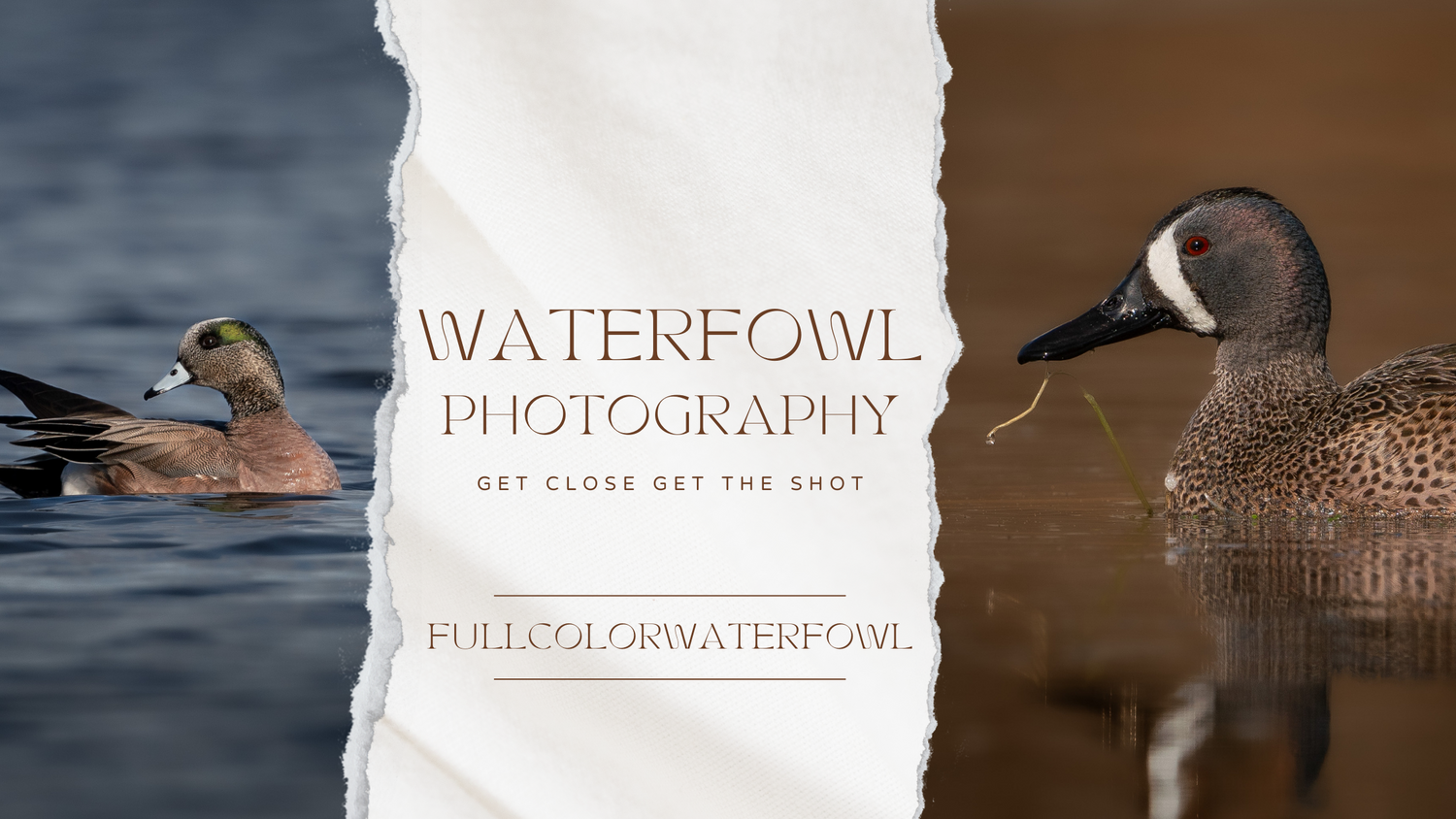 Full Color Waterfowl Co. – Full Color Waterfowl