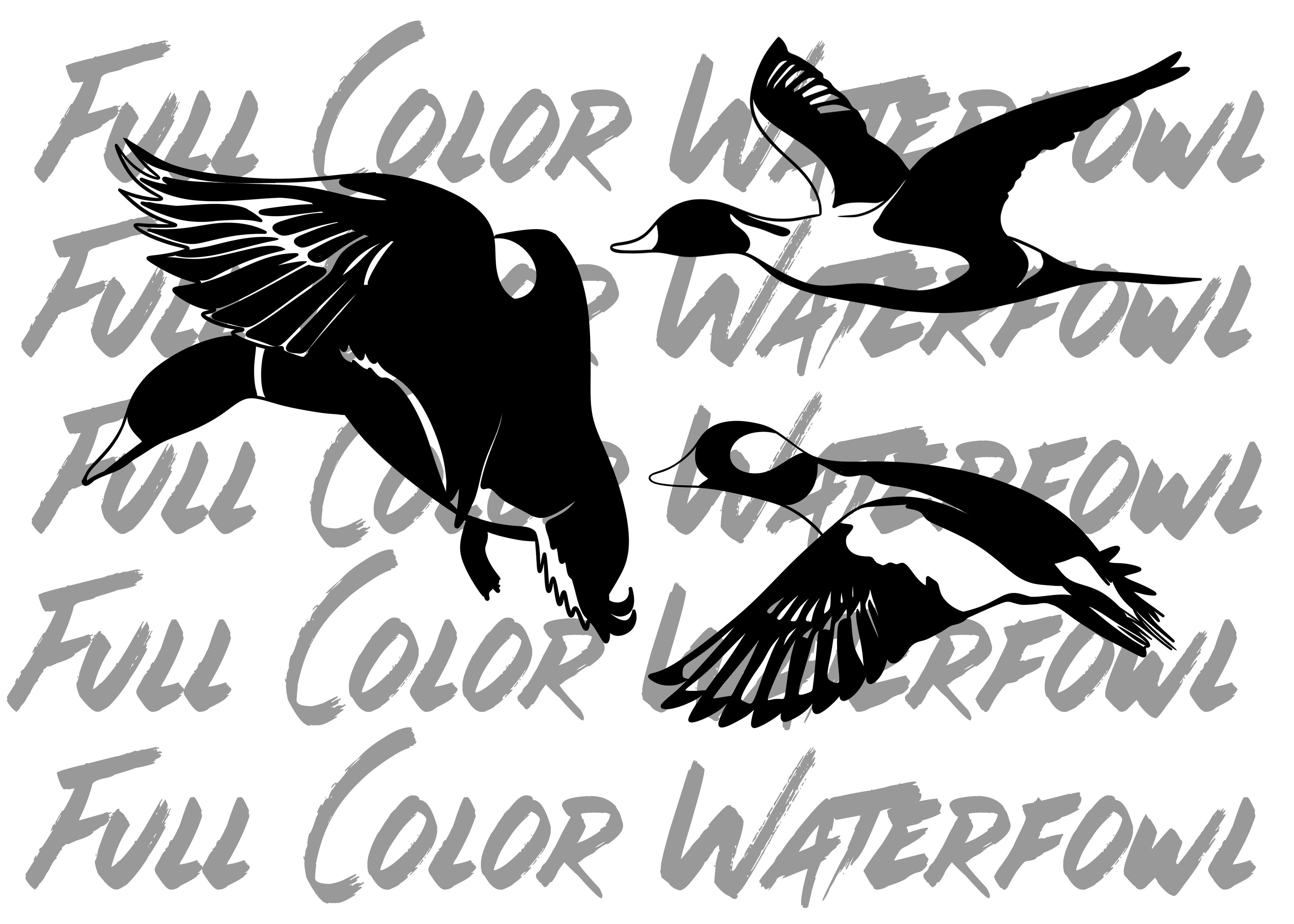 FCW Stickers – Full Color Waterfowl