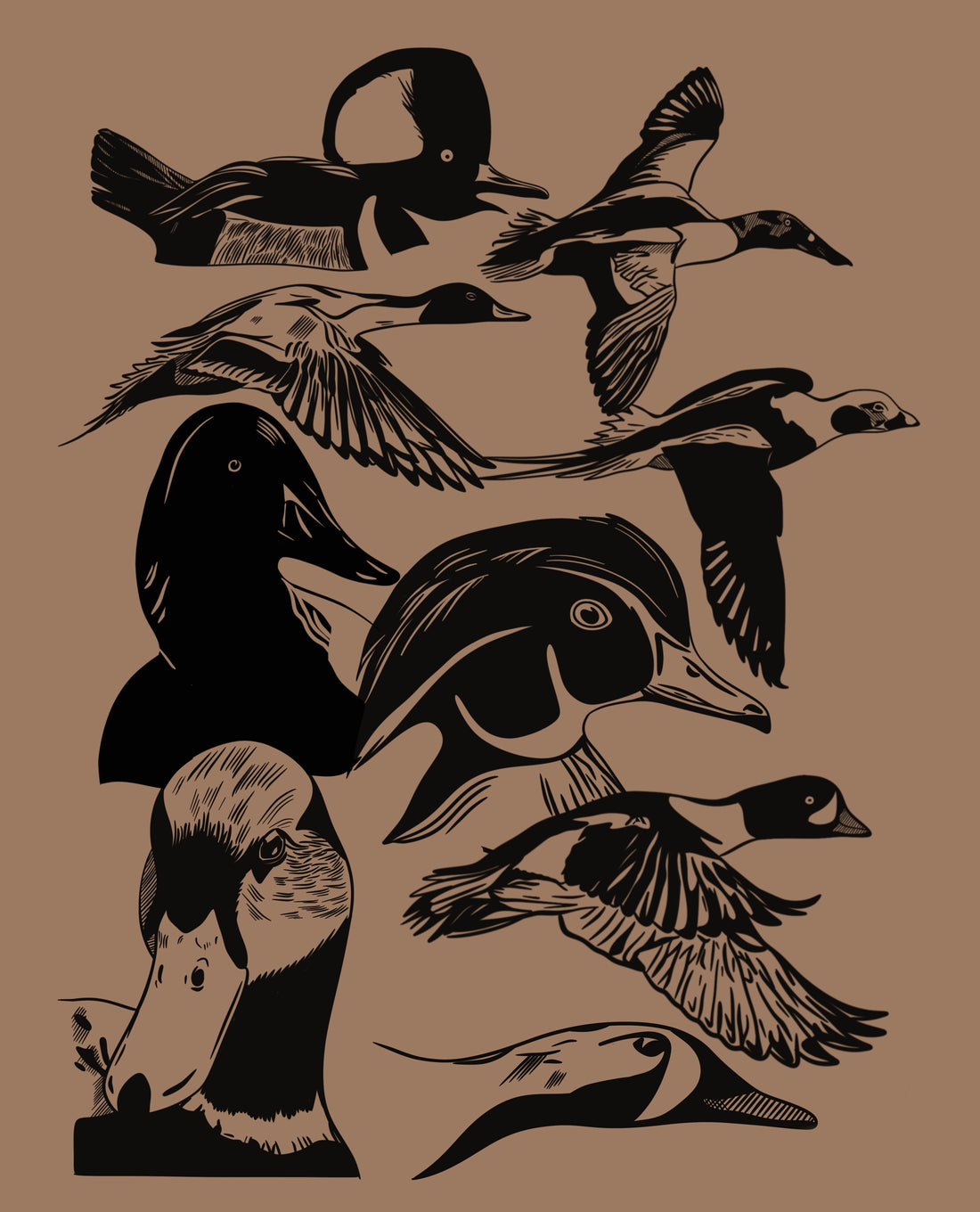 Duck Collage Digital File – Full Color Waterfowl