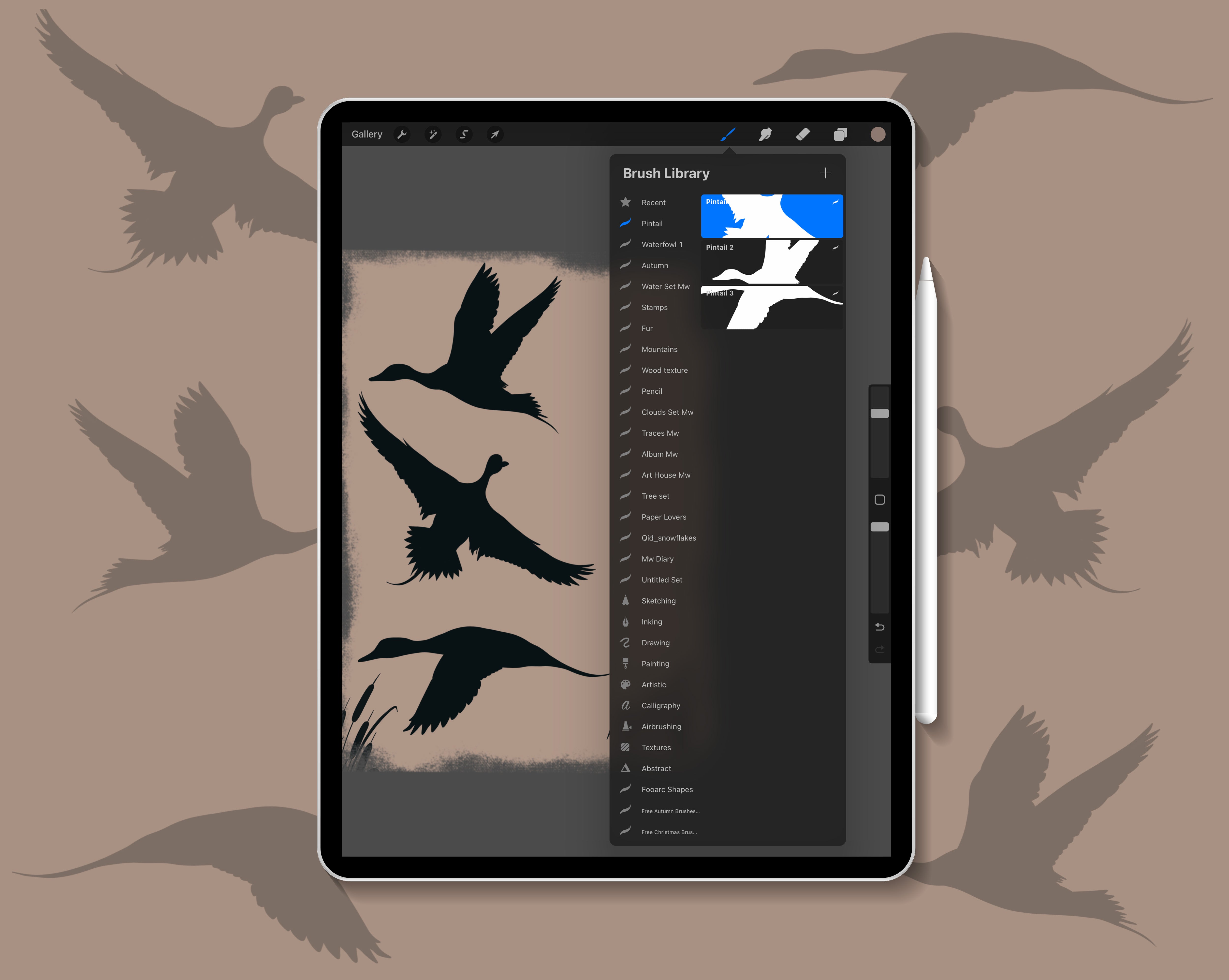 Procreate Pintail Brush Set – Full Color Waterfowl