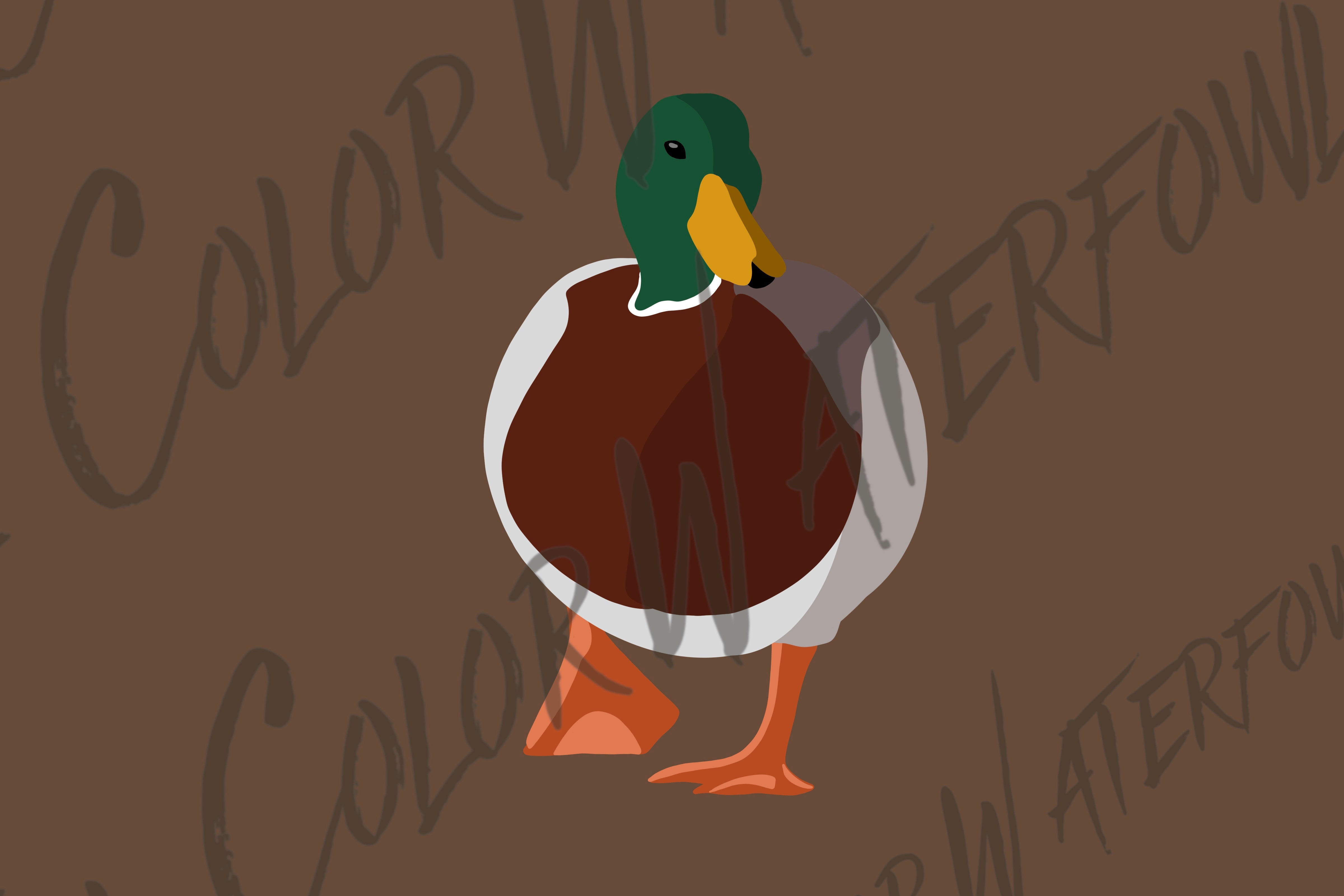 Standing Mallard PNG – Full Color Waterfowl