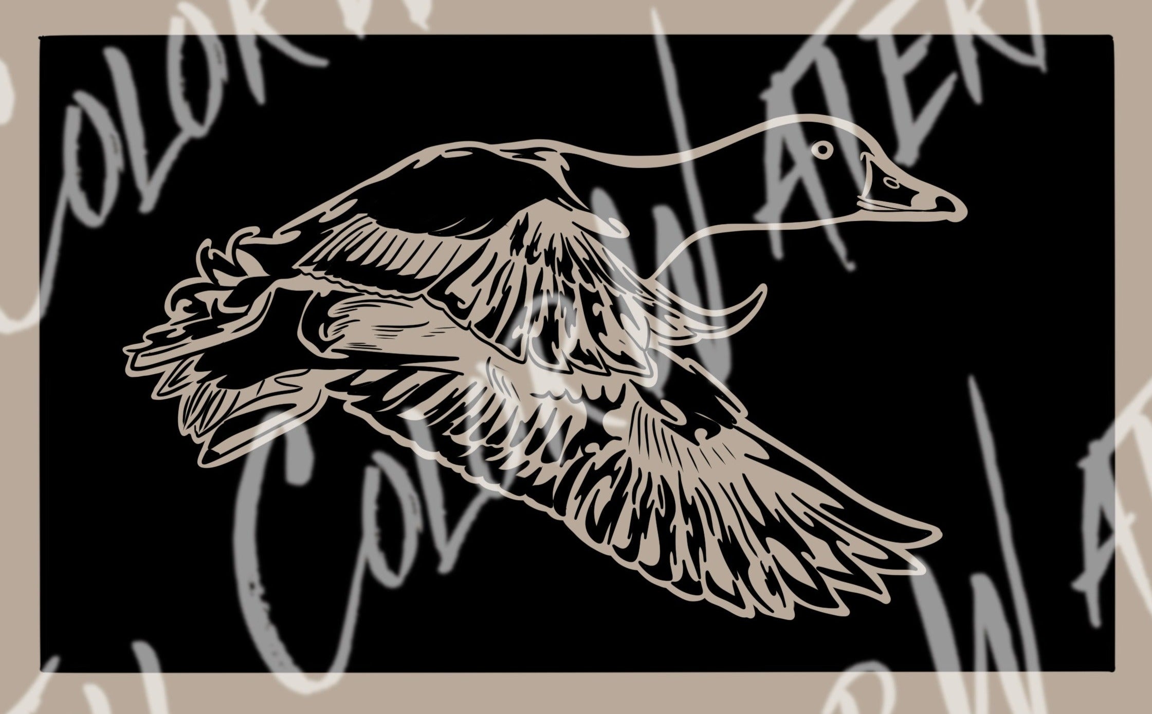 Ring-necked duck PNG – Full Color Waterfowl